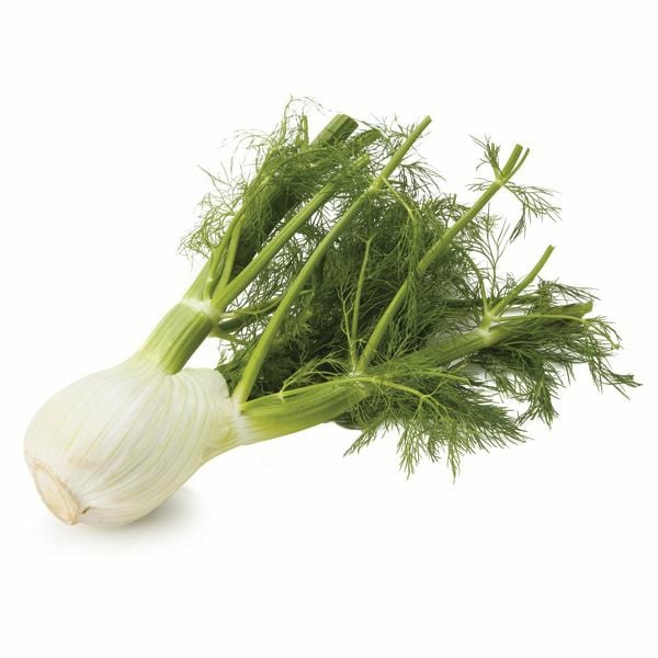 Fennel Bulb Same-Day Delivery or Pickup | Publix