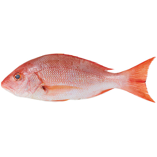 Wegmans Whole Red Snapper Same-Day Delivery or Pickup | Instacart
