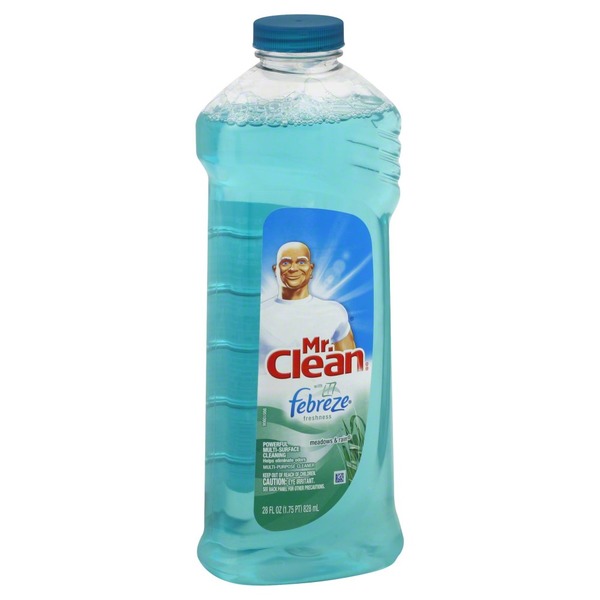 Mr. Clean Multi-Purpose Cleaner, Meadows & Rain (28 oz) - Instacart