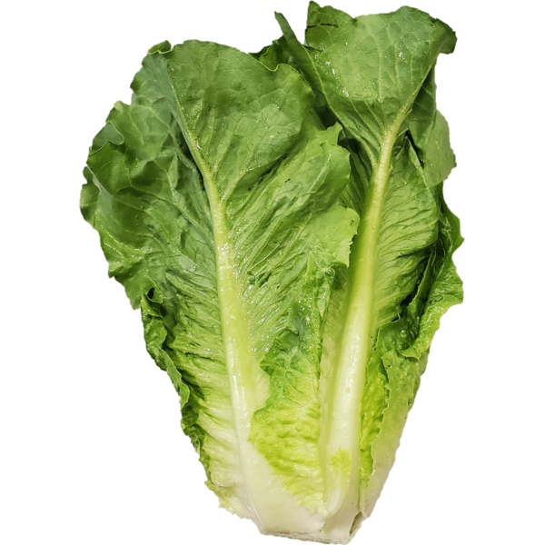 Walmart Ocean Mist Farms Romaine Lettuce Same-Day Delivery | Instacart
