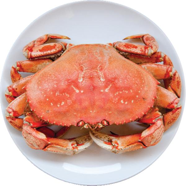 Fresh Whole Wild Dungeness Crab Cooked Same-Day Delivery or Pickup ...