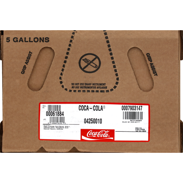 Coca-Cola Classic Coke Fountain Syrup (5 gal) - Instacart