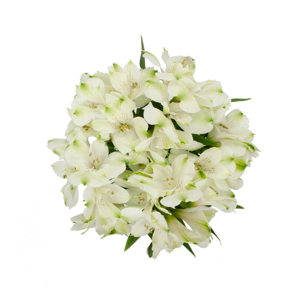 Price Chopper Peruvian Lilly Bunch Same-Day Delivery or Pickup | Instacart