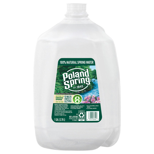 Wegmans Poland Spring Brand 100% Natural Spring Water, 1-gallon plastic ...