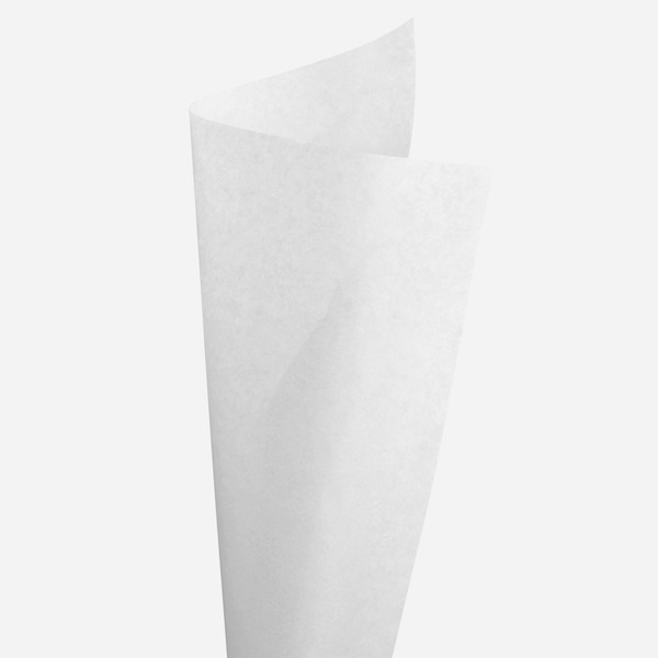 Walmart WAY TO CELEBRATE! Tissue Paper - White Solid Same-Day Delivery ...