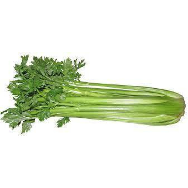 Celery Bunch Same-Day Delivery or Pickup | Rosauers Supermarkets