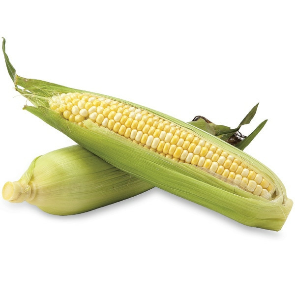 Bi Color Corn Same-Day Delivery or Pickup | Publix