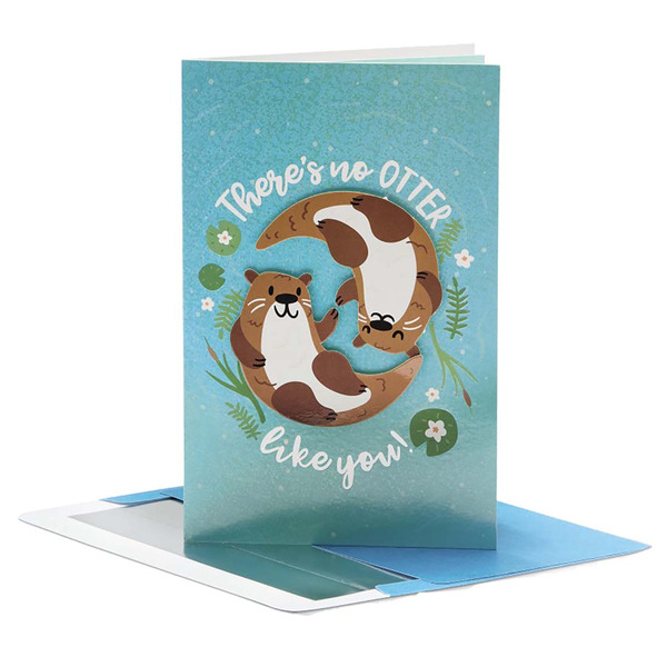 ALDI Pembrook All Occasion Cards Otters Same-Day Delivery or Pickup ...