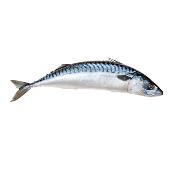 HMart Mackerel/Frozen Same-Day Delivery | Instacart