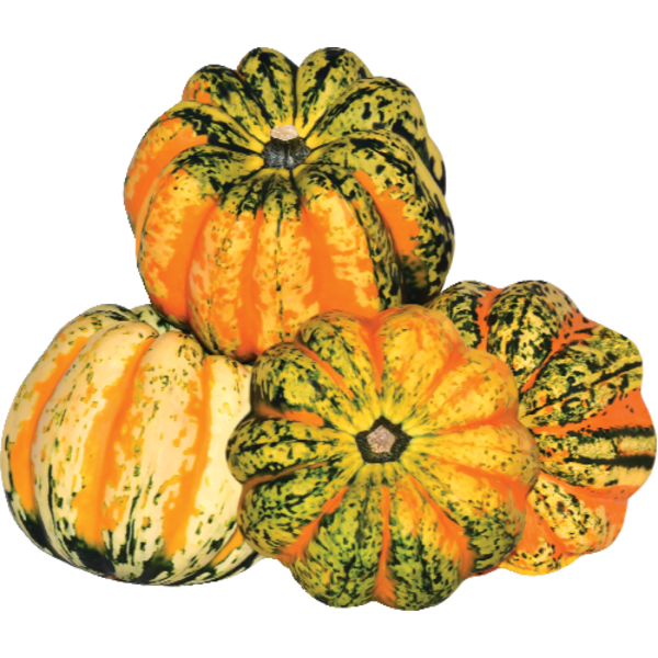 Sprouts Farmers Market Organic Carnival Squash Pickup | Instacart