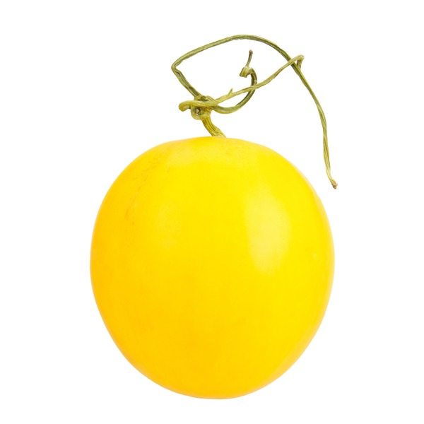 Organic Golden Honeydew Melon (each) - Instacart