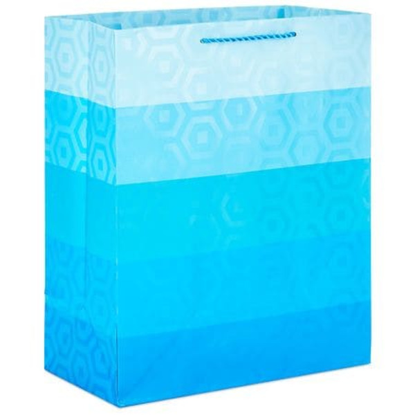 Walgreens Hallmark Bag - Blue Ombre Same-Day Delivery | Instacart