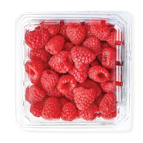 Raspberries Package Same-Day Delivery or Pickup | Publix