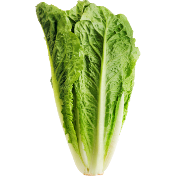 Organic Romaine Lettuce Same-Day Delivery or Pickup | Sprouts Farmers ...
