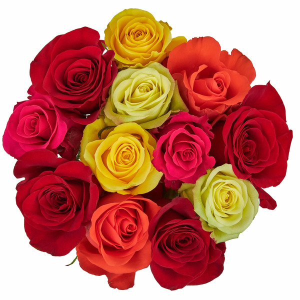 Walmart Fresh-Cut Roses Flower Bunch - Rainbow Same-Day Delivery ...