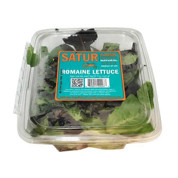 Satur Farms Baby Romaine Lettuce Leaf Mix Salad Clamshell (5 oz) - Instacart