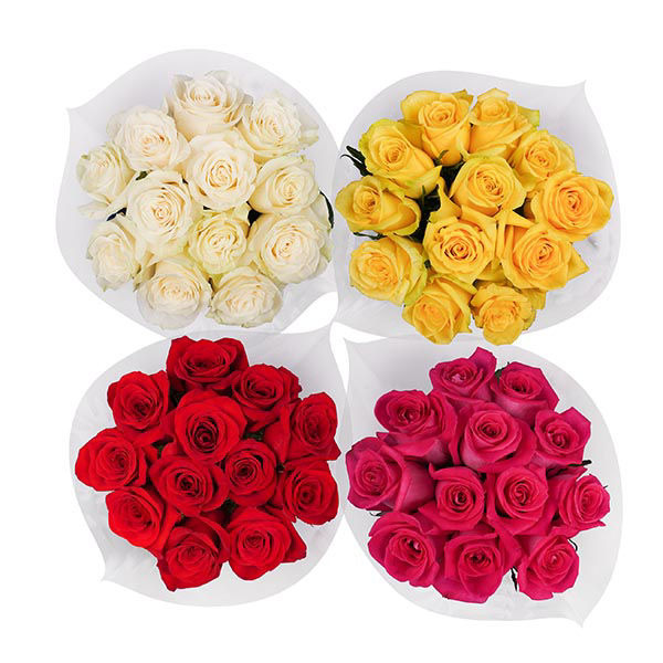 Wegmans Wegmans Dozen Roses Same-Day Delivery or Pickup | Instacart