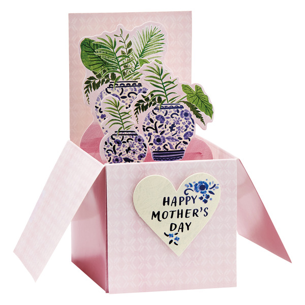 Pembrook Potted Plants Greeting Card Same-Day Delivery or Pickup | ALDI