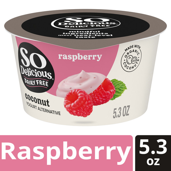 So Delicious Dairy Free Coconut Milk Raspberry Same-Day Delivery or ...