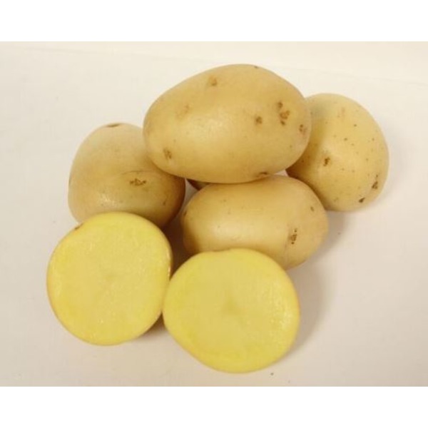 Restaurant Depot PRODUCE POTATO YUKON 10LB BAG Same-Day Delivery ...