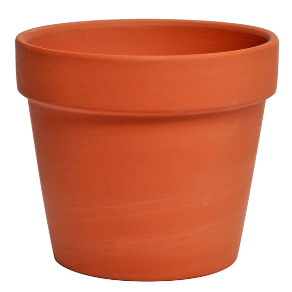 Dollarama Terracotta Flower Pot Same-Day Delivery | Instacart