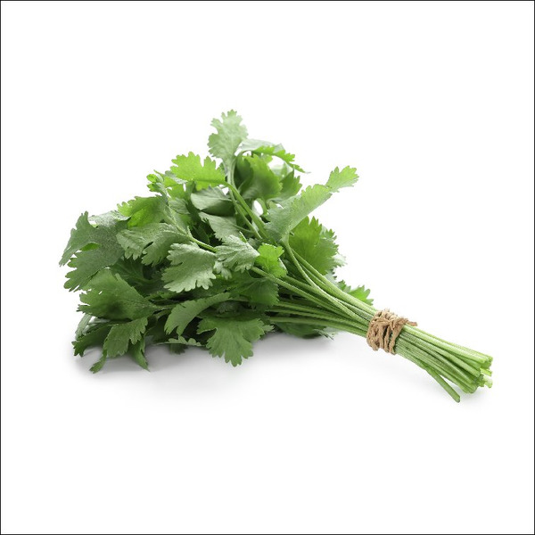 Cilantro Package Same-Day Delivery | Food Bazaar