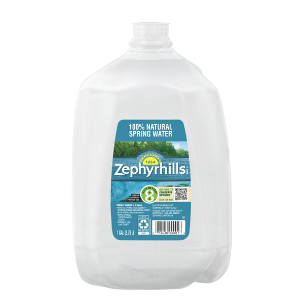 ZEPHYRHILLS Brand Florida Spring Water, 1-gallon plastic jug Same-Day ...