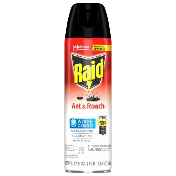 Raid® Ant & Roach Aerosol Bug Spray Same-Day Delivery or Pickup | Publix