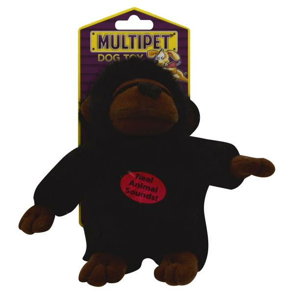 Publix Multipet International Dog Toy, Look Who's Talking Same-Day ...